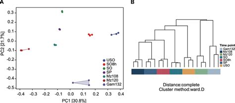 Transcriptome Relationships Of E Tenella At Different Developmental Download Scientific