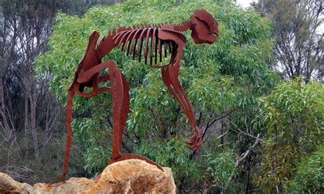 Procoptodon Skeleton