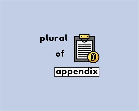 Whats The Plural Of Appendix Appendixes Or Appendices