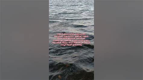 നമ്മുടെ സ്നേഹം ആർക്കും ഒരു ശല്യം ആവാതെ ഇരുന്നാൽ അതു തന്നെ വല്യ കാര്യം Youtubeshorts Love