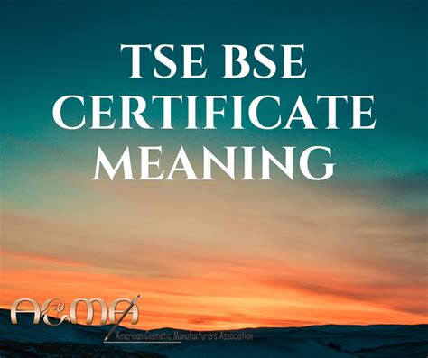 About Tse Bse Certificate Jockey Frog