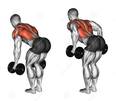 Fixed Weight Cast Iron Star Gym Dumbells 5 Kg At ₹ 89 Kg In Rohtak