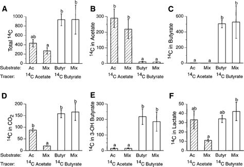 Metabolite Appearance From Acetate Vs Butyrate And Influence Of Download Scientific Diagram