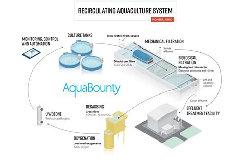 Recirculating Aquaculture System Diagram