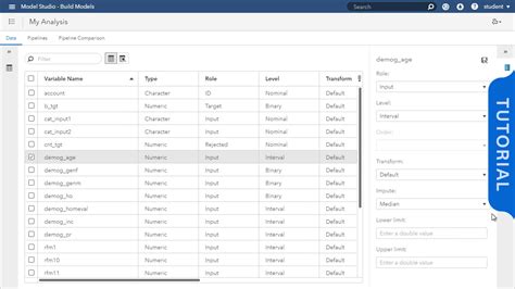 Model Studio SAS Video Portal