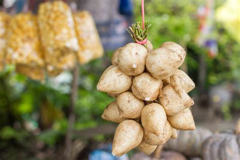 What Is Jicama And How Is It Used