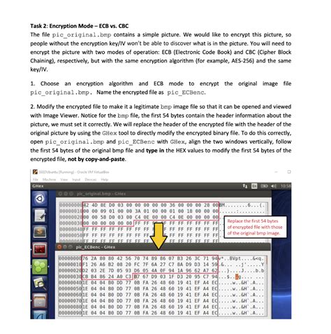 Task 2 Encryption Mode Ecb Vs Cbc The File