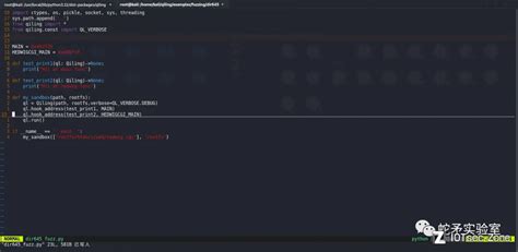 Qiling Fuzz实例分析 Iotsec Zone