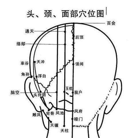 宋仁宗都爱用的“导引术梳头法”，跨越千年来拯救秃头少年！ 按摩