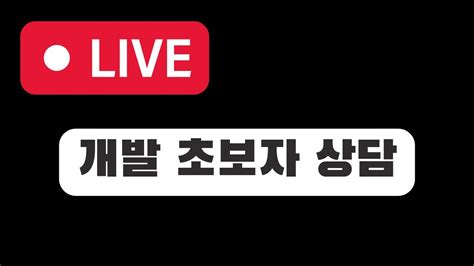 개발 초보자 상담 프론트엔드 백엔드 Youtube