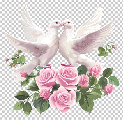 Wedding Birds White Doves With Pink Roses Png Clipart Anniversary