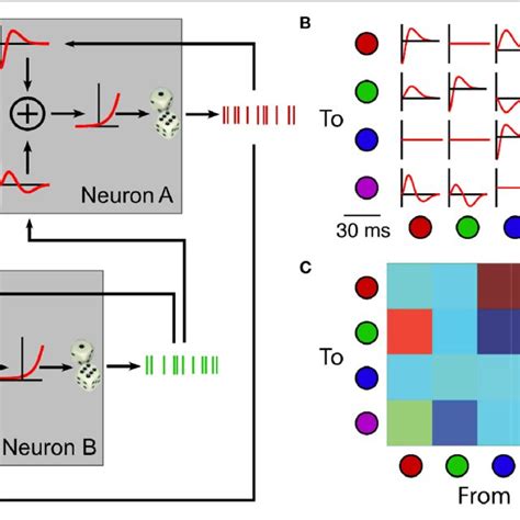 Schematic Diagram Of The Inferred Functional Connectivity Ifc