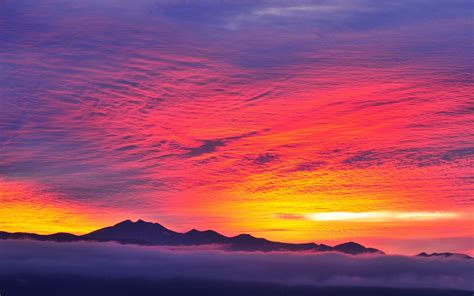 Sathya Sekar On Medium Curated Some Lists