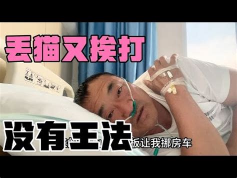 丢猫又挨打没有王法威海旅游环境堪忧旅途99 YouTube