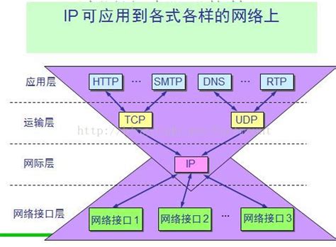 C 网络编程之套接字编程基础知识c 套接字 Csdn博客
