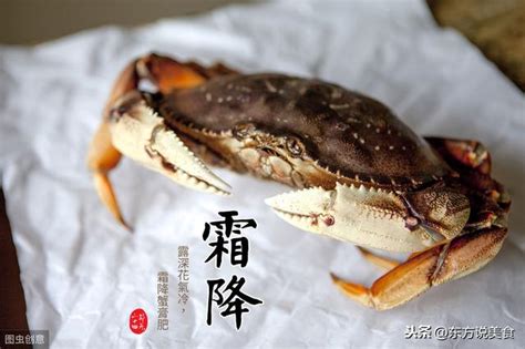 飲食指南明天霜降飲食進補有哪些注意事項呢 每日頭條
