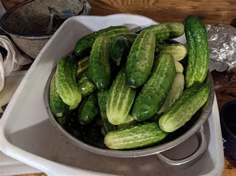 Home On The Range With Bunchgrass Beef Home On The Range With Bunchgrass Beef