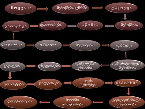 Shala მოყვანა презентация онлайн