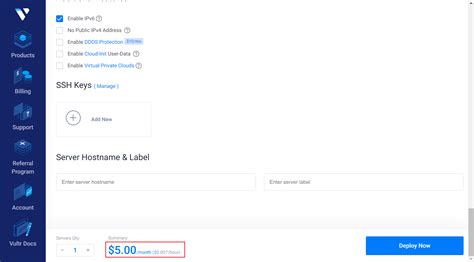 Vultr 自建梯子流程（使用 V2ray） Snowflyt的博客