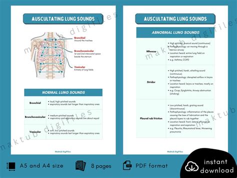 Heart And Lung Sounds Cheat Sheet Auscultation Guide Pdf Digital