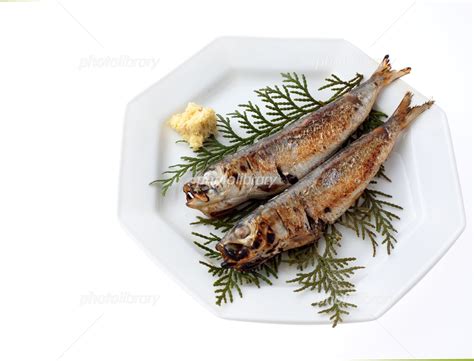 いわしの焼き魚 写真素材 6258240 フォトライブラリー photolibrary