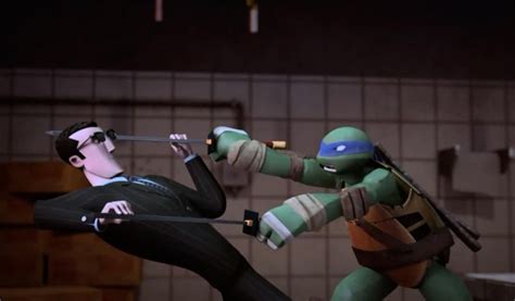 Teenage Mutant Ninja With Swords