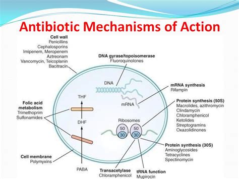 Atypical Coverage Antibiotics