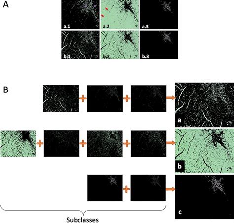 Workflow Showing K Means Classification With Subclasses A Standard Download Scientific