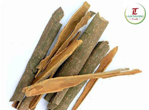 Tinh Dầu Quế Là Gì Tinh Dầu Quế Có Tác Dụng Gì Lâm Thương Lục Yên Yên Bái Lamthuongfood