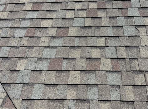 Hail Damage On Asphalt Shingle Roof At Jewel Waddle Blog