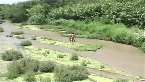 Orgasmi Bisex Full Movie Xhamster