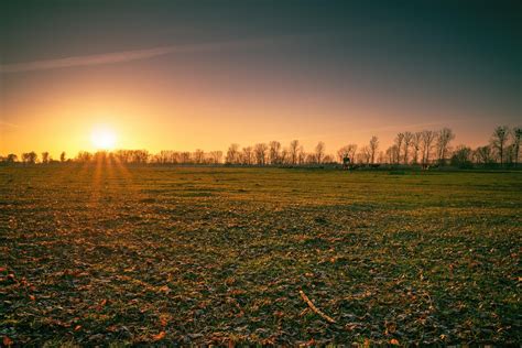 4000 Free Temperate Grassland And Grassland Images Pixabay