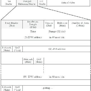 IPv QoS Extension Header Download Scientific Diagram