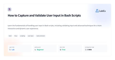 how to capture and validate user input in bash scripts labex