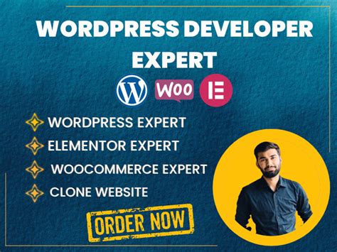 Wordpress Developer Expert Clone Elementor Expert Woocommerce