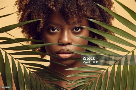 야자수 잎 사이에 서 있는 깨끗하고 건강한 피부를 가진 큰 볼륨의 헤어스타일을 가진 어두운 피부 여성의 초상화를 닫습니다 20 29세에 대한 스톡 사진 및 기타 이미지