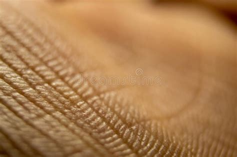 Macro Healthy Human Skin Dermatology Pattern Concept Closeup Human