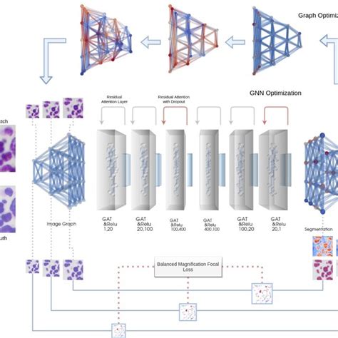 the proposed algorithm features the conversion of a histology image to