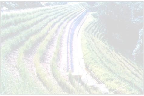 3 Infrastructure Protection E1551293578121 Vetiver Tt