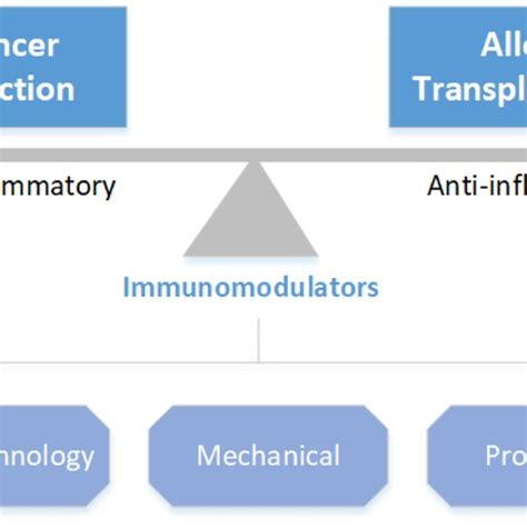 Expression Of Trpc And Trpm In B Cell And Their Role Download