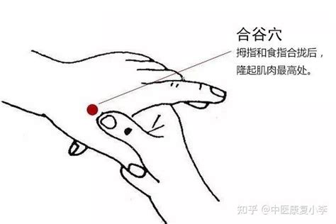 手阳明大肠经合谷穴的妙用 知乎