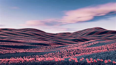 산과 나무가 있는 풍경화 사진 Unsplash의 야생화 이미지