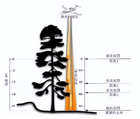 基于激光雷达技术的林业资源三维立体调查系统 南京跃飞智能科技有限公司人工智能无人机解决方案提供商