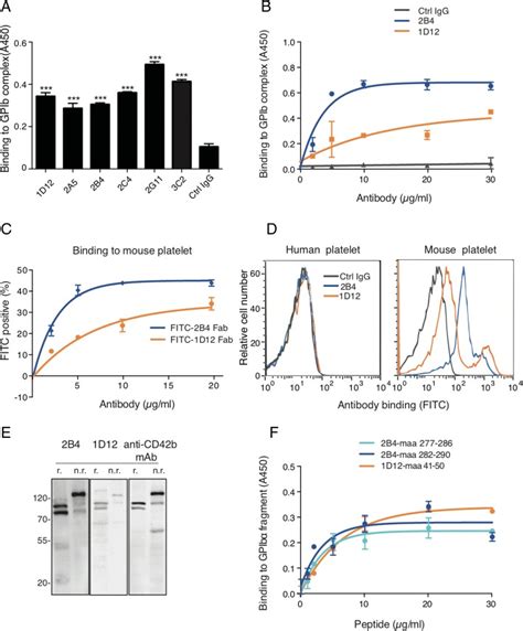 Novel Antibodies Against Gpibα Inhibit Pulmonary Metastasis By