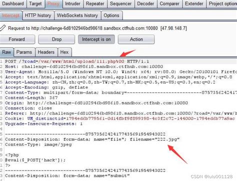 文件上传 题目中国蚁剑返回数据不用php后缀名 Csdn博客 文件上传 题目中国蚁剑返回数据不用php后缀名 Csdn博客