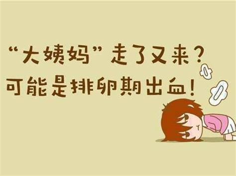 非经期少量出血无腹痛是怎么回事 非月经不规则出血是什么原因 闪豚AI