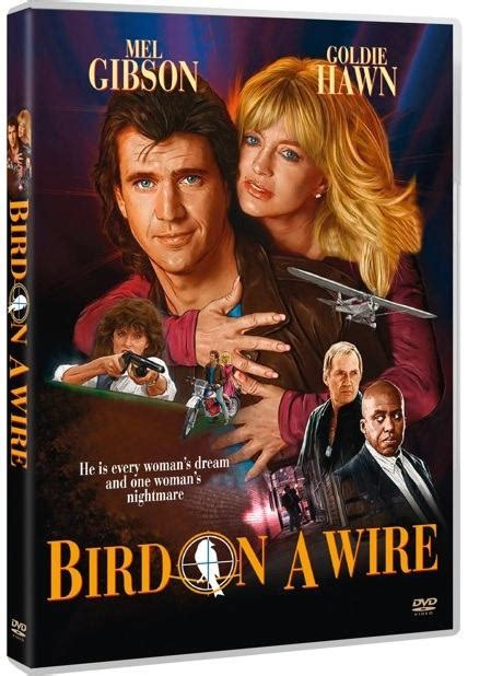 Bird On A Wire ENG N