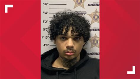 Tennessee Man With Several Active Warrants Arrested By Priceville
