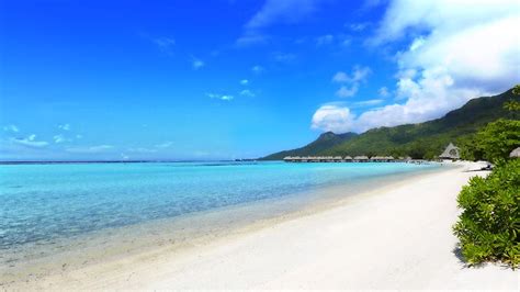Sofitel Kia Ora Moorea 5 Star Overwater Bungalows On Temae Beach