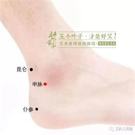 艾养生脚上有个祛寒大穴是身寒多病者的纯阳方很多人都不知道 穴位